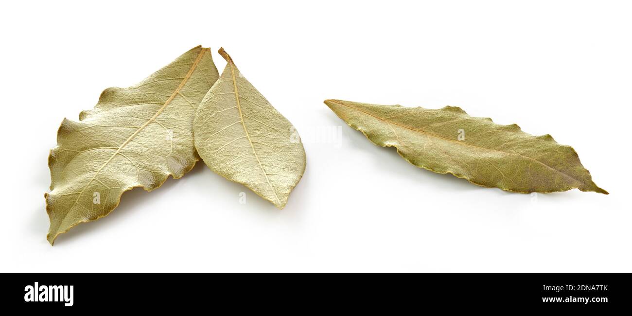 dried bay leaves isolated on white background Stock Photo - Alamy