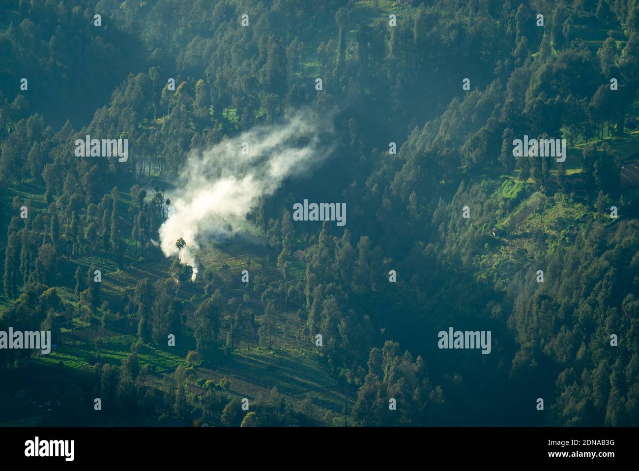 A Forest Fire Is An Uncontrolled Fire Occurring In Nature Stock Photo ...