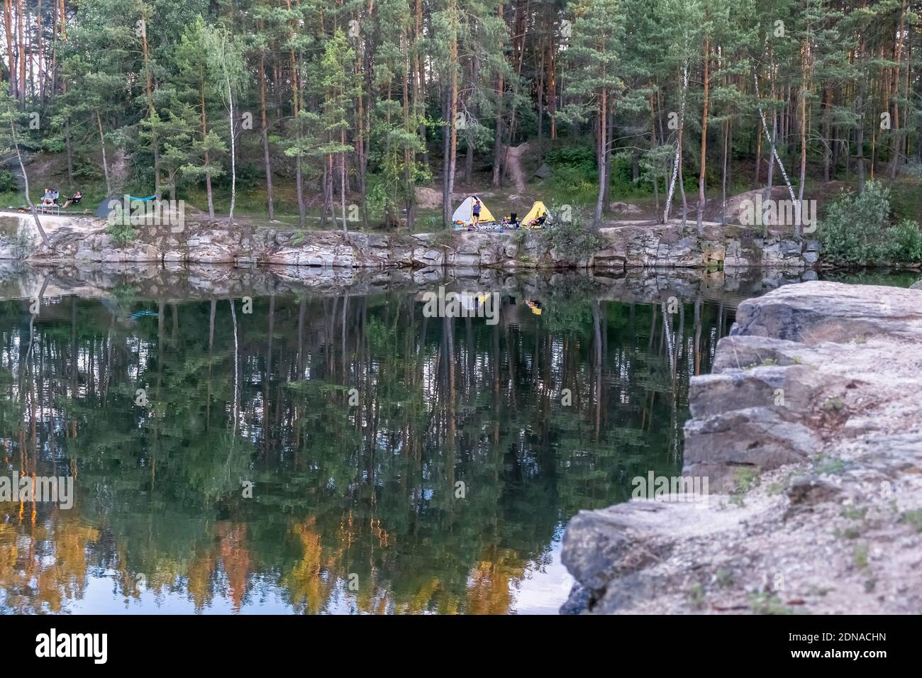 Beautiful scenery, camping and tents under a pine forest on the edge of ...