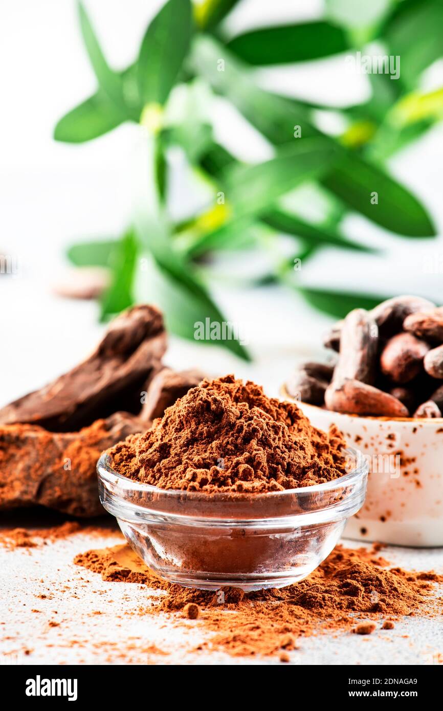 Organic cocoa powder, cocoa beans, grated cocoa lump on gray background ...