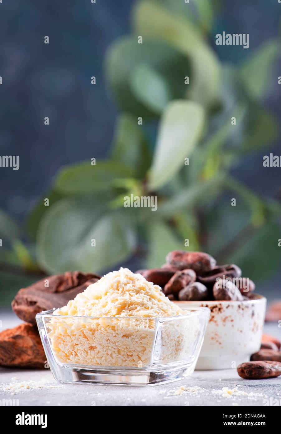 Organic cocoa butter, cocoa beans, grated cocoa lump, dark chocolate on ...