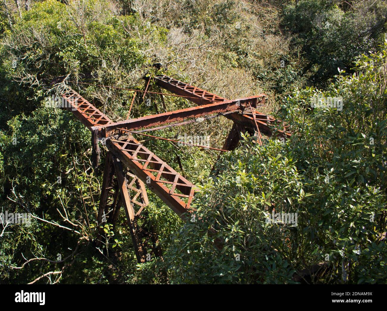 Rusty old bridge over the Patea River, Cardif, Taranaki Stock Photo - Alamy