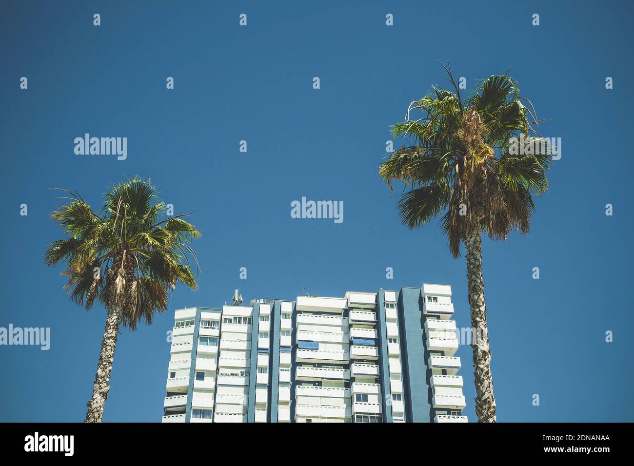Building and palm trees hi-res stock photography and images - Alamy