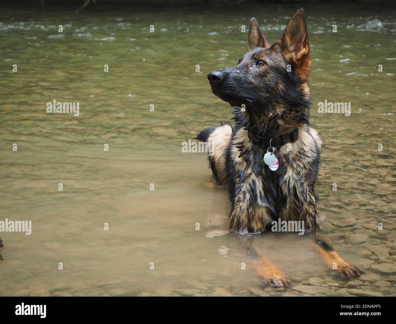 Jamesville beach park hi-res stock photography and images - Alamy
