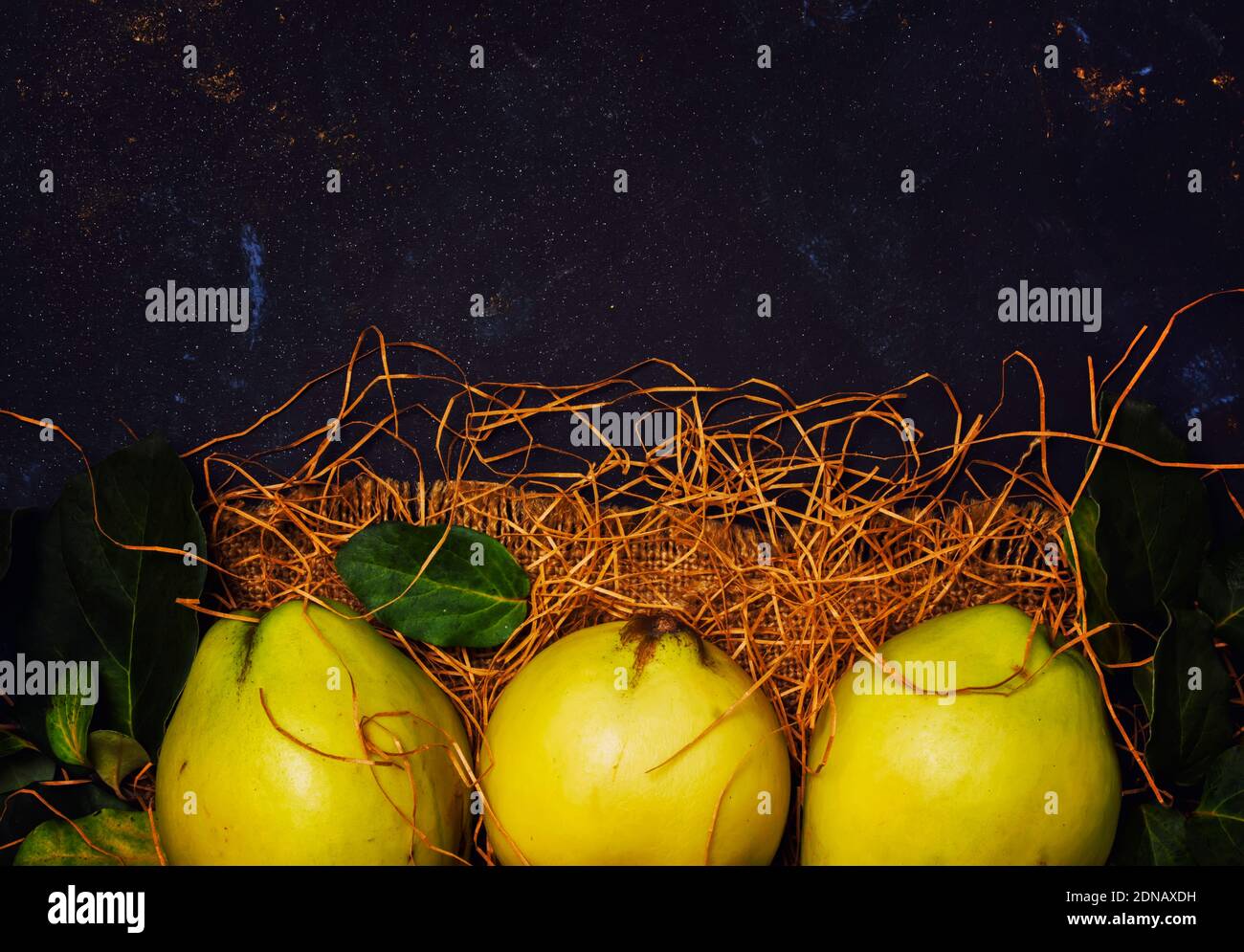 Lleaf hi-res stock photography and images - Alamy