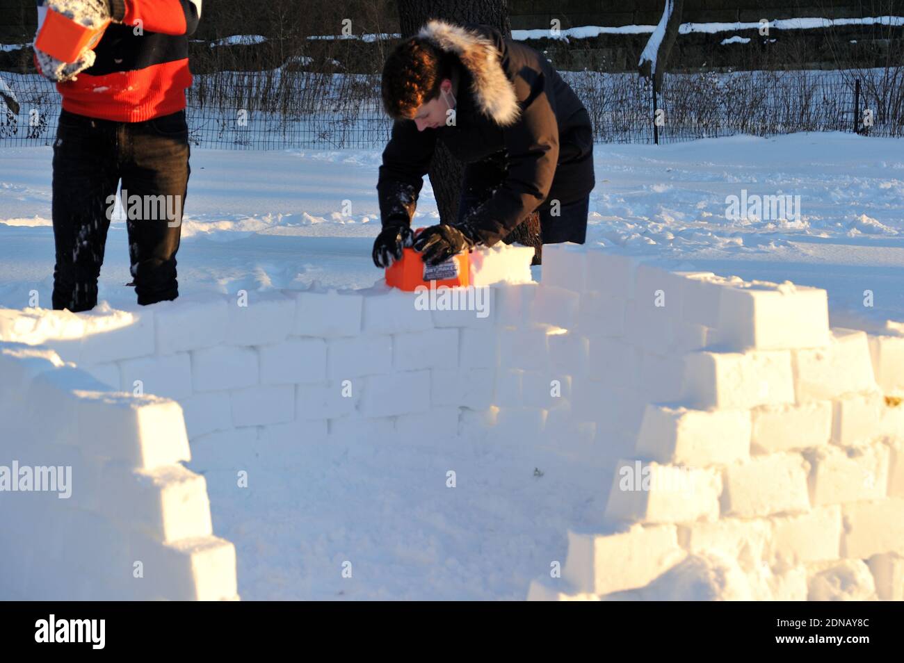New York, USA. 17th Dec, 2020. Building an igloo in Central Park in New ...