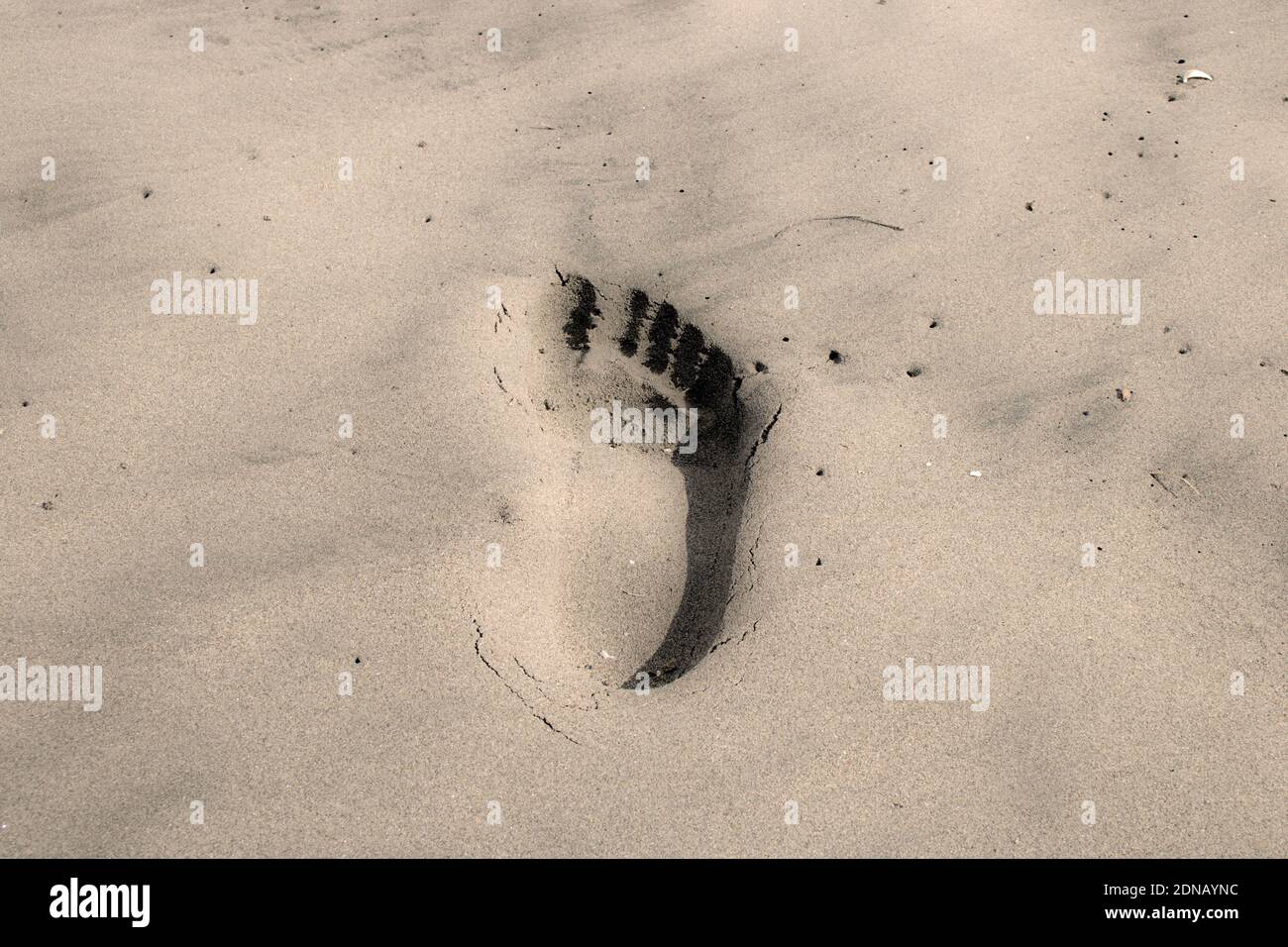 Man friday robinson crusoe hi-res stock photography and images - Alamy