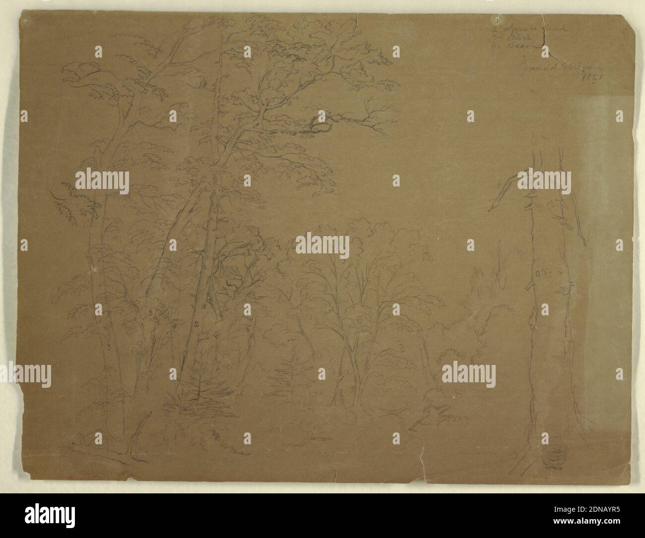 Trees, Grand Manan Island, Canada, Frederic Edwin Church, American ...