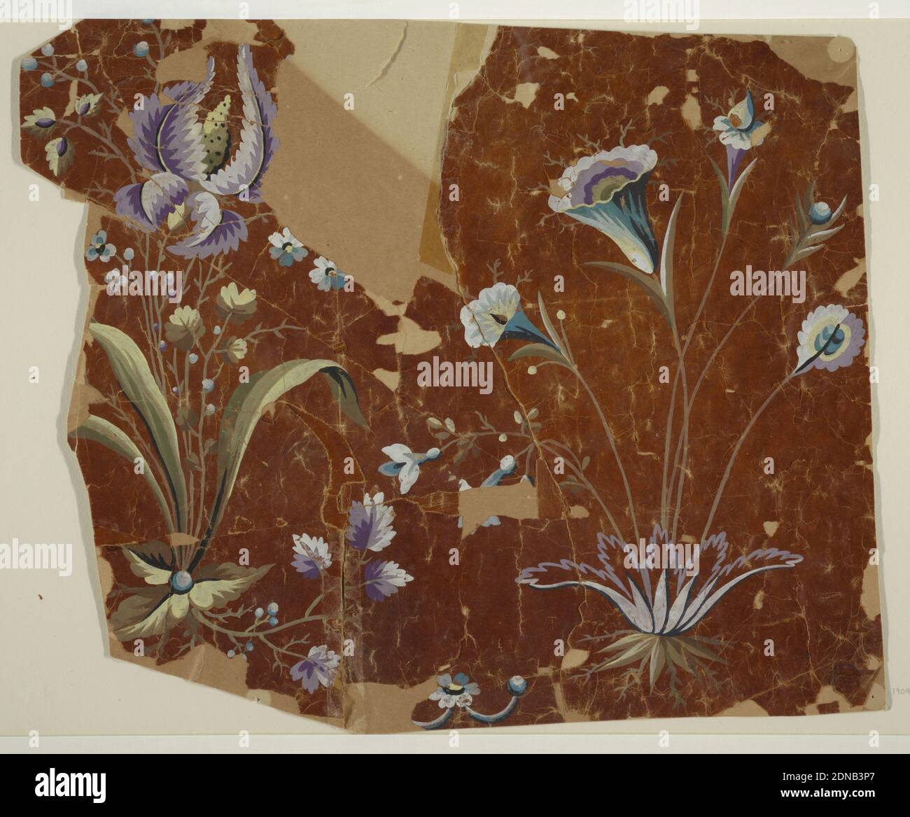 Naturalistic Designs High Resolution Stock Photography and Images - Alamy