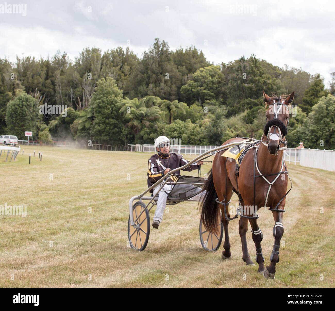 Horse Racing Trots and Harness Racing Stock Photo - Alamy