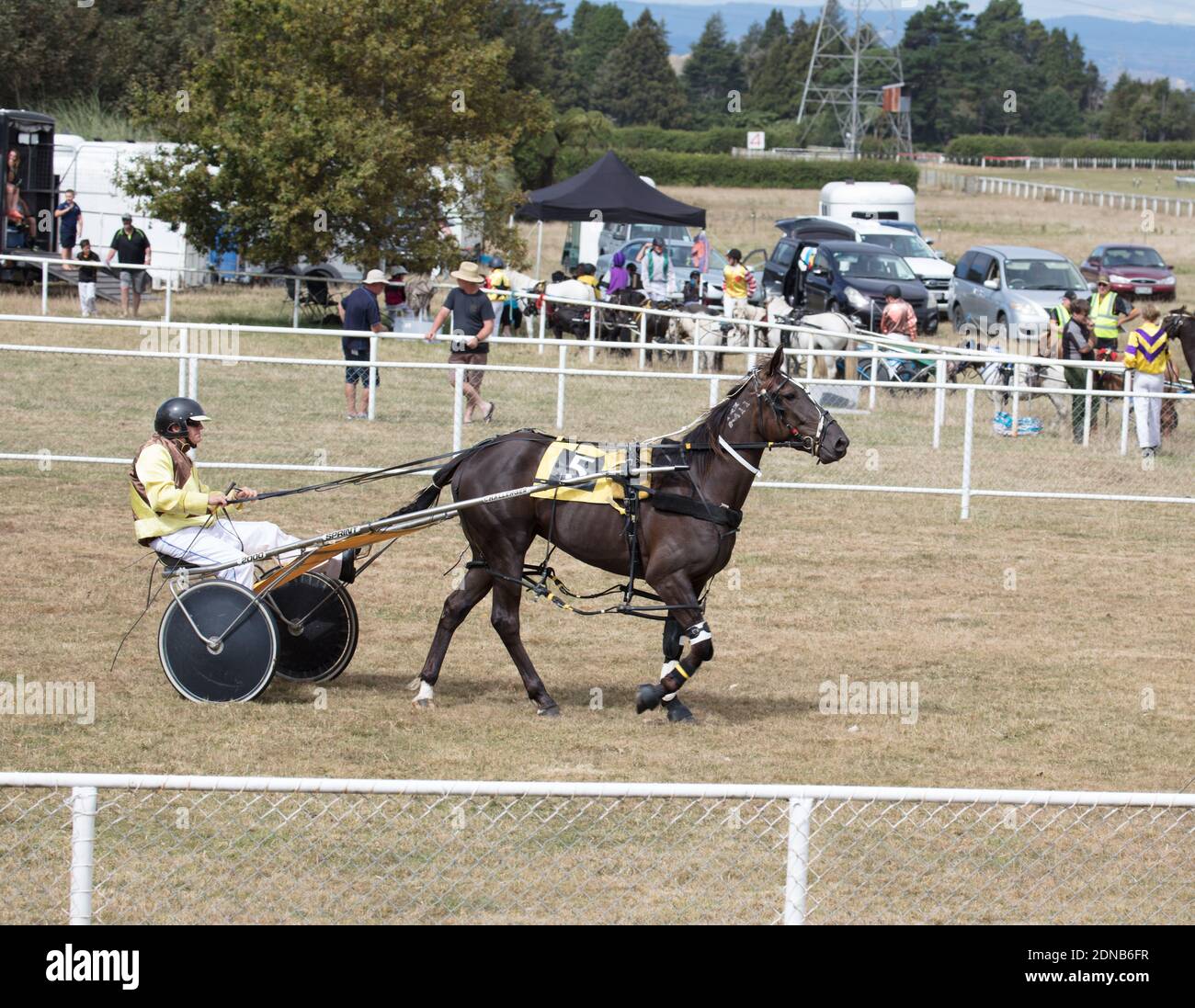 Horse Racing Trots and Harness Racing Stock Photo - Alamy