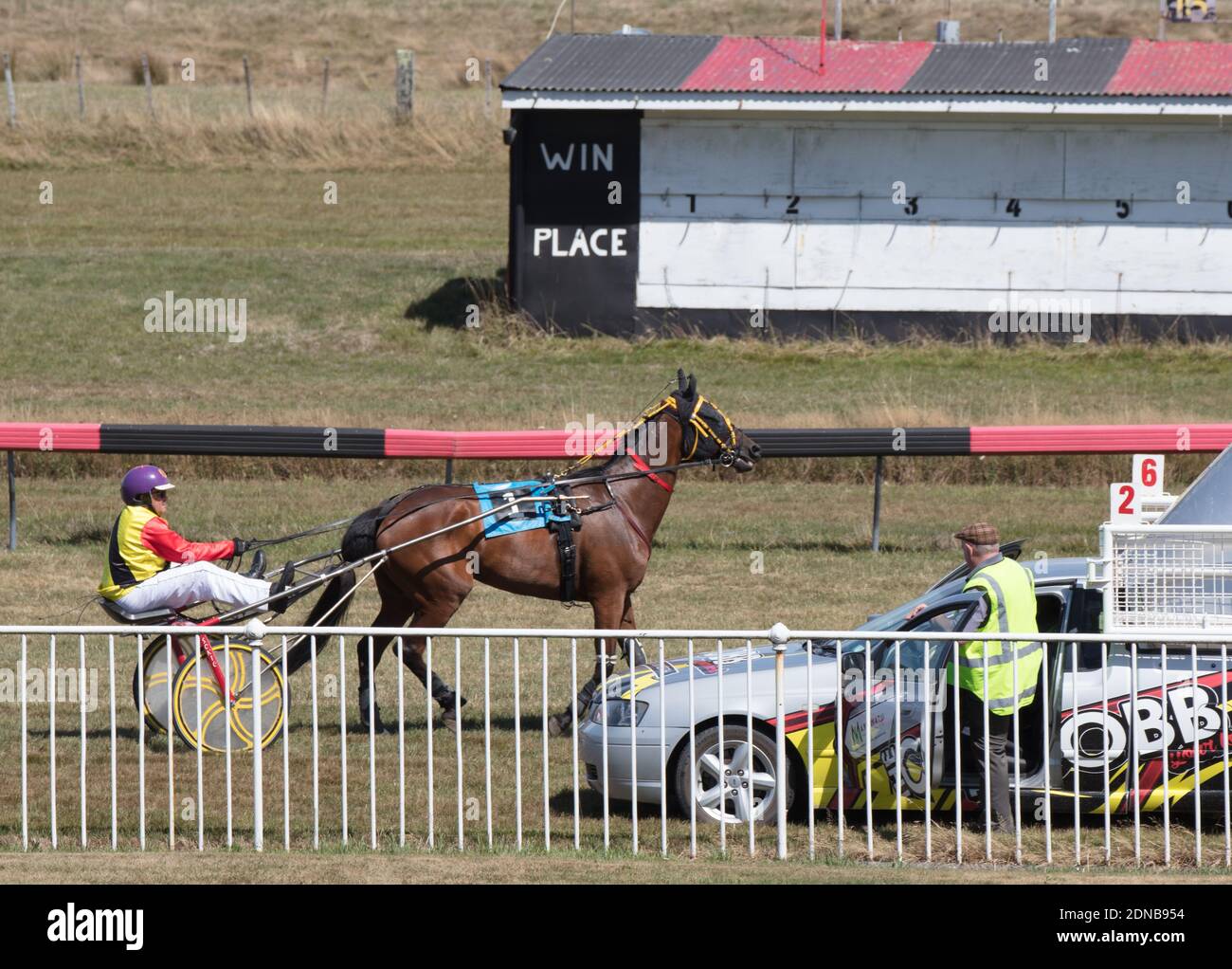Horse Racing Trots and Harness Racing Stock Photo - Alamy