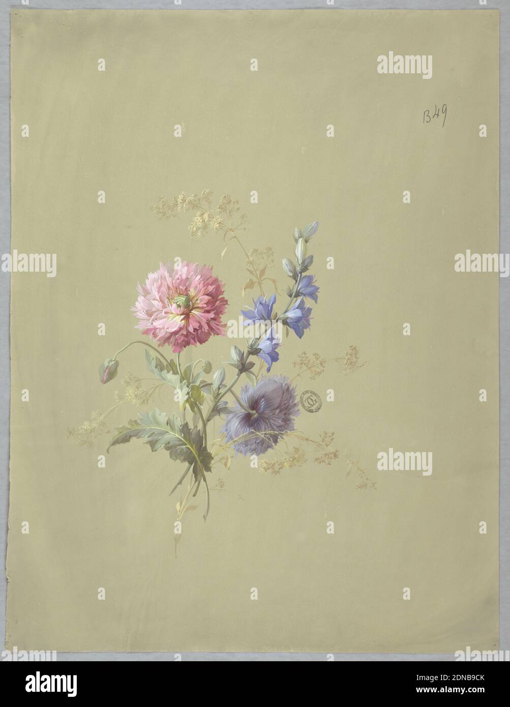 Pink single flower facing viewer hi-res stock photography and images ...