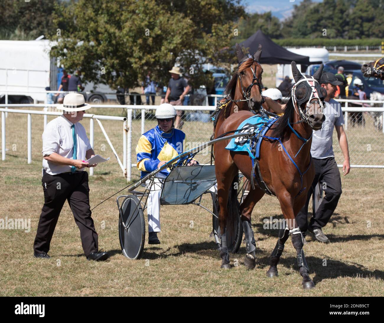 Horse Racing Trots and Harness Racing Stock Photo - Alamy