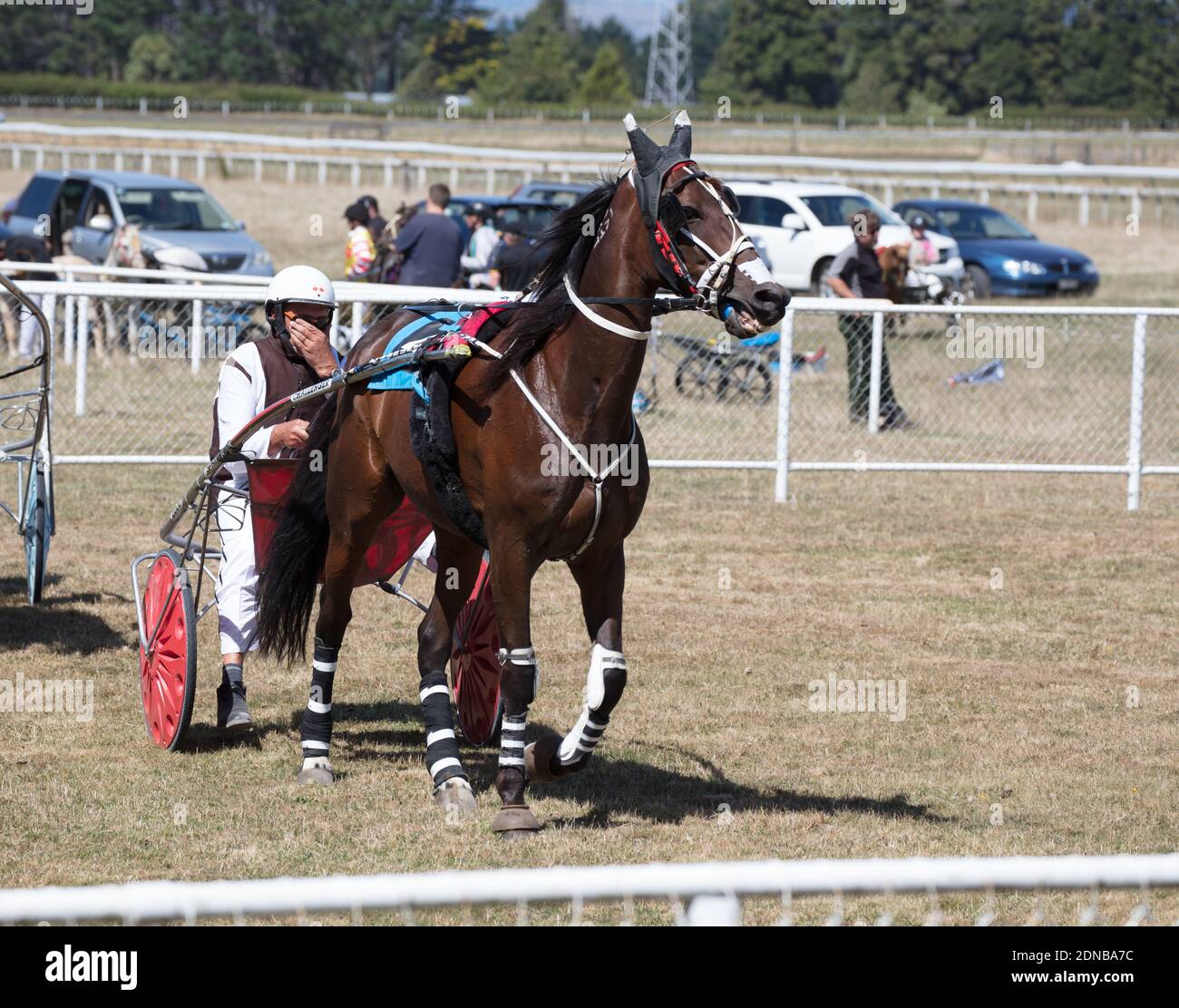 Stratford horse racing hi-res stock photography and images - Alamy