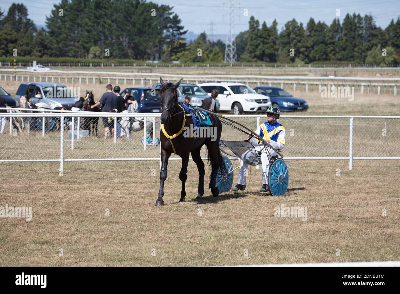 Horse Racing Trots and Harness Racing Stock Photo - Alamy