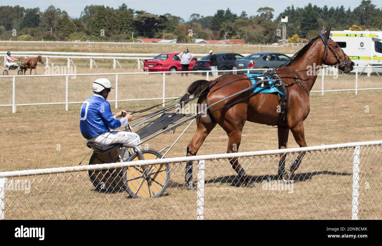 Horse Racing Trots and Harness Racing Stock Photo - Alamy