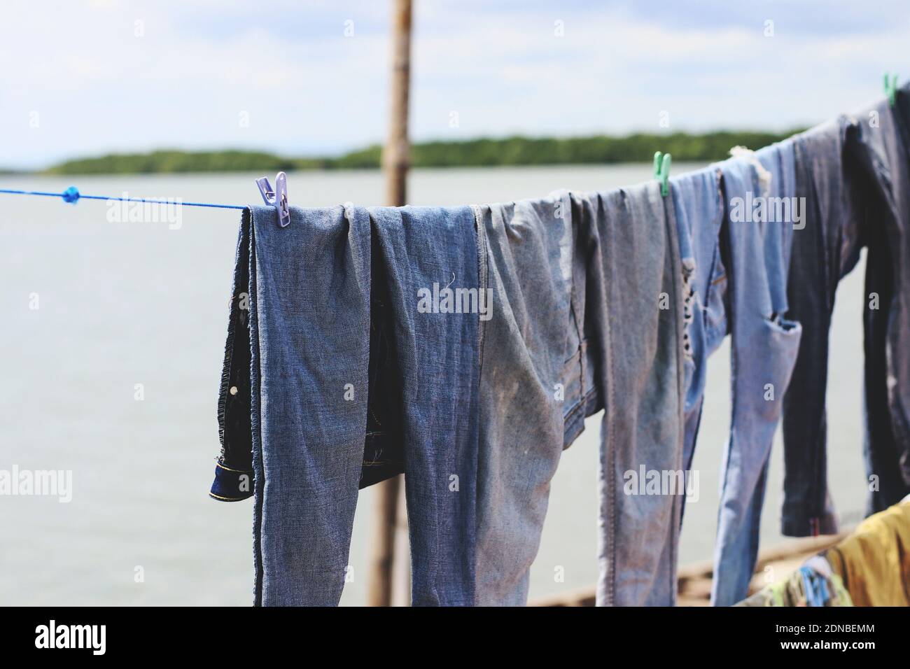 Rack focus on animal hi-res stock photography and images - Alamy