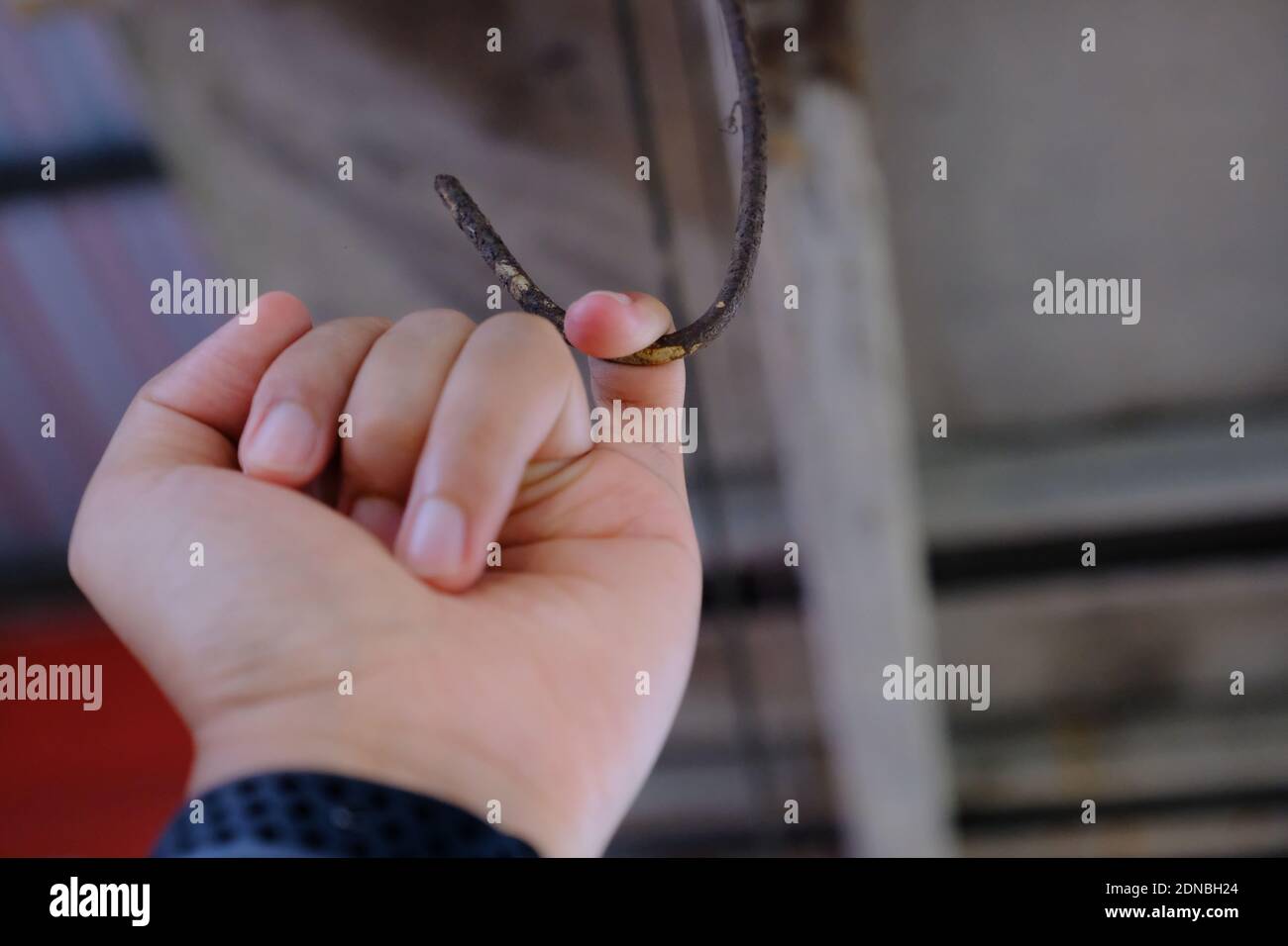 Hook finger hi-res stock photography and images - Alamy