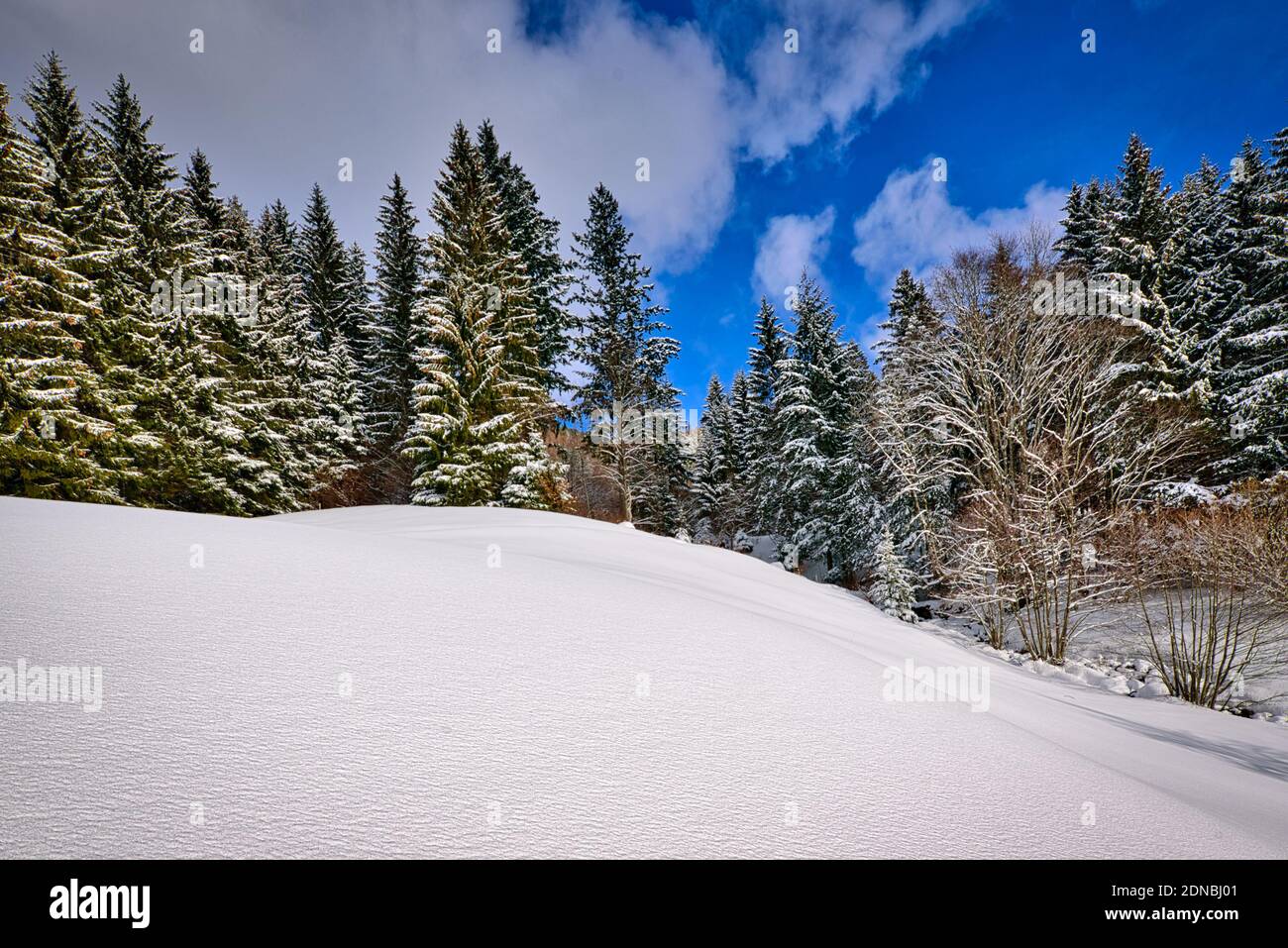 Winter Landscape Snow Waterfall Stock Photo - Alamy
