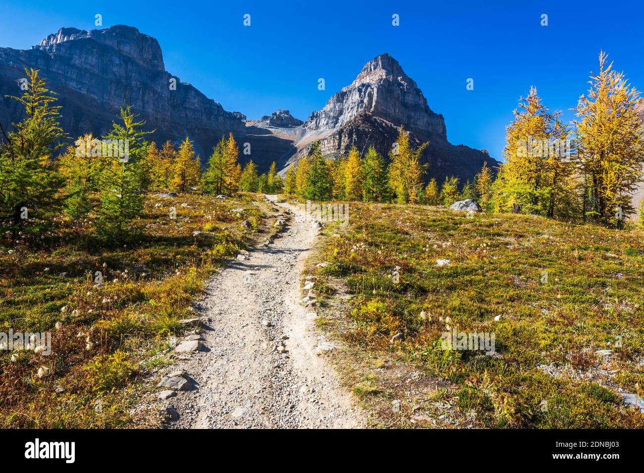 Sentinel Pass Hike High Resolution Stock Photography and Images - Alamy