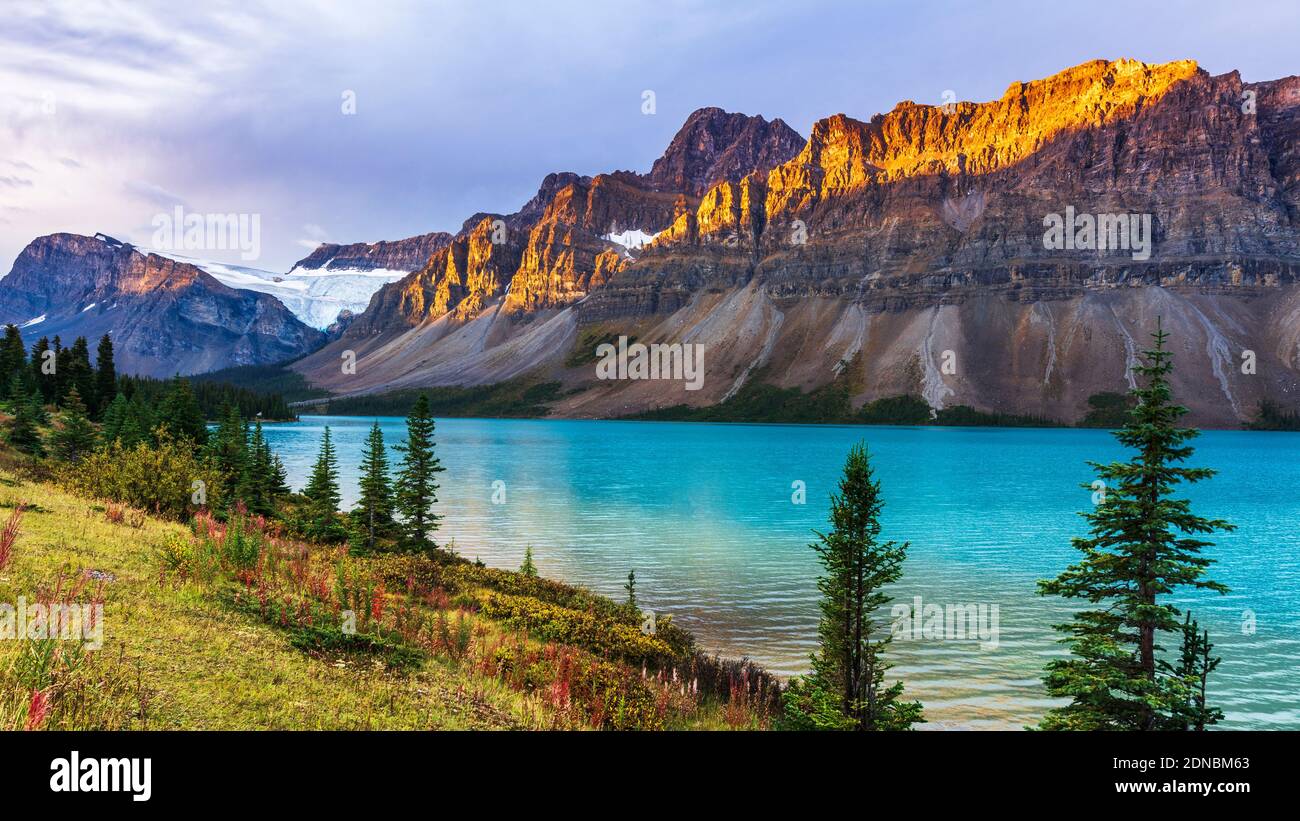 Dawn light on the Crowfoot Glacier above Bow Lake, Banff National Park ...
