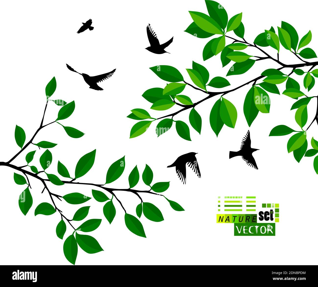 Flying birds from a tree branch. Vector illustration Stock Vector Image ...
