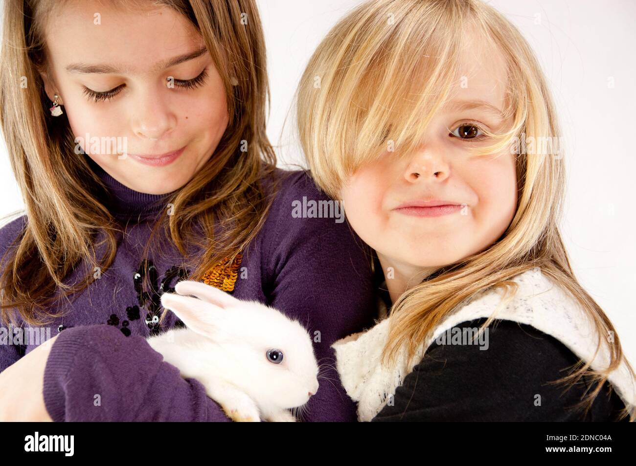 Siblings with puppy studio shot hi-res stock photography and images - Alamy