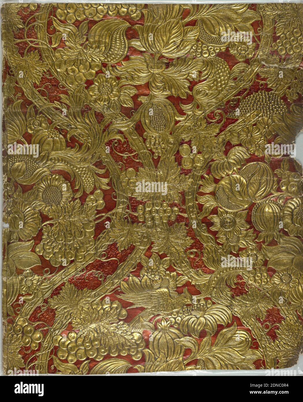 Crested paper hi-res stock photography and images - Alamy