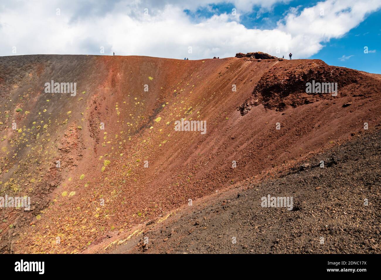 Mount Etna volcanic landscape and its typical vegetation, Sicily Stock ...