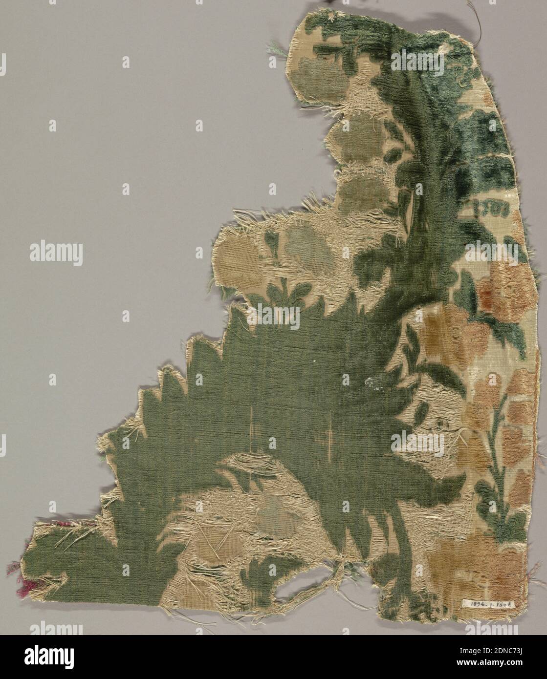 Isolated polychrome flowers hi-res stock photography and images - Alamy