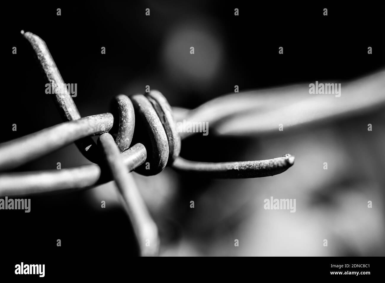 Tangled fence wire Black and White Stock Photos & Images - Alamy