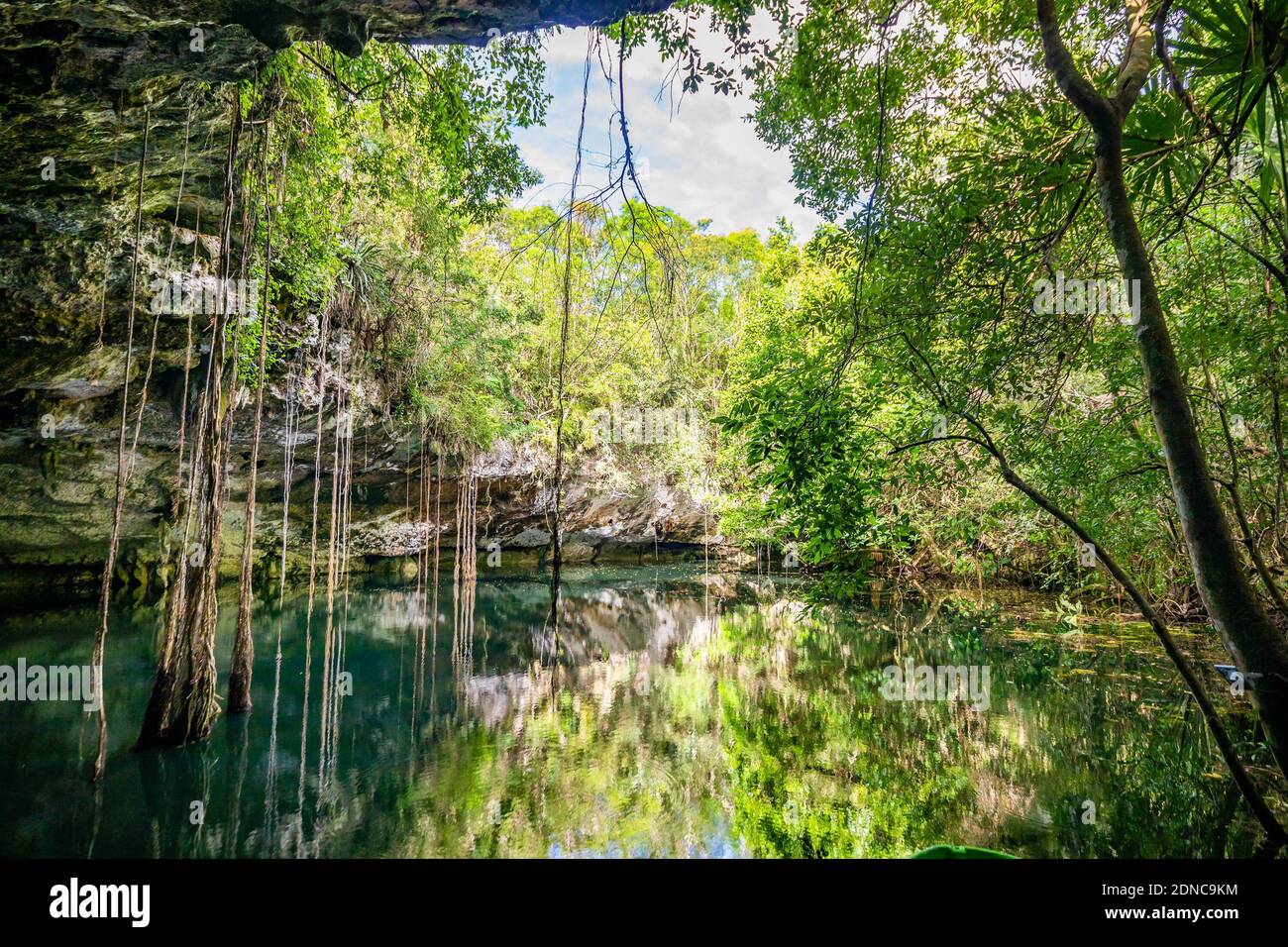 Scenic view of cenotes caves with fresh water in Mexico perfect place ...