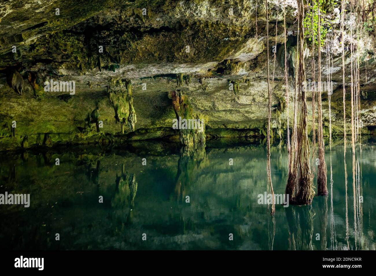 Scenic view of cenotes caves with fresh water in Mexico perfect place ...