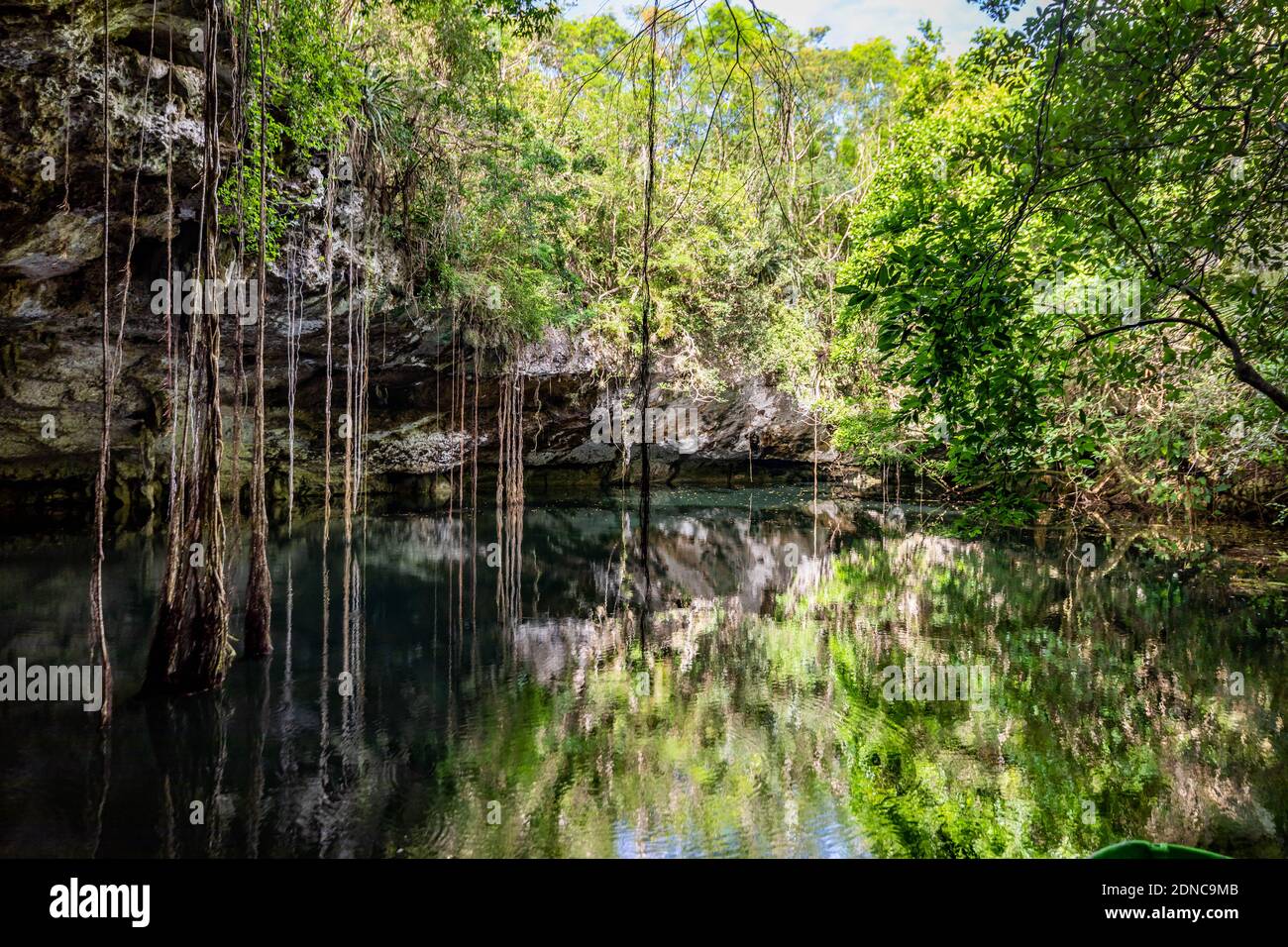 Scenic view of cenotes caves with fresh water in Mexico perfect place ...
