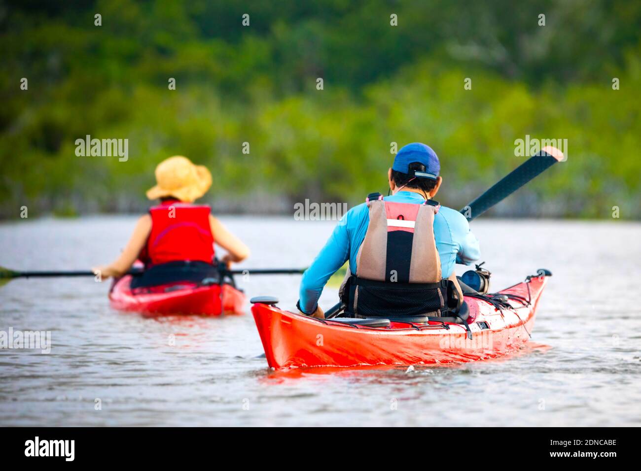 Couple paddling in kayaks on summer day with live vests on from the ...
