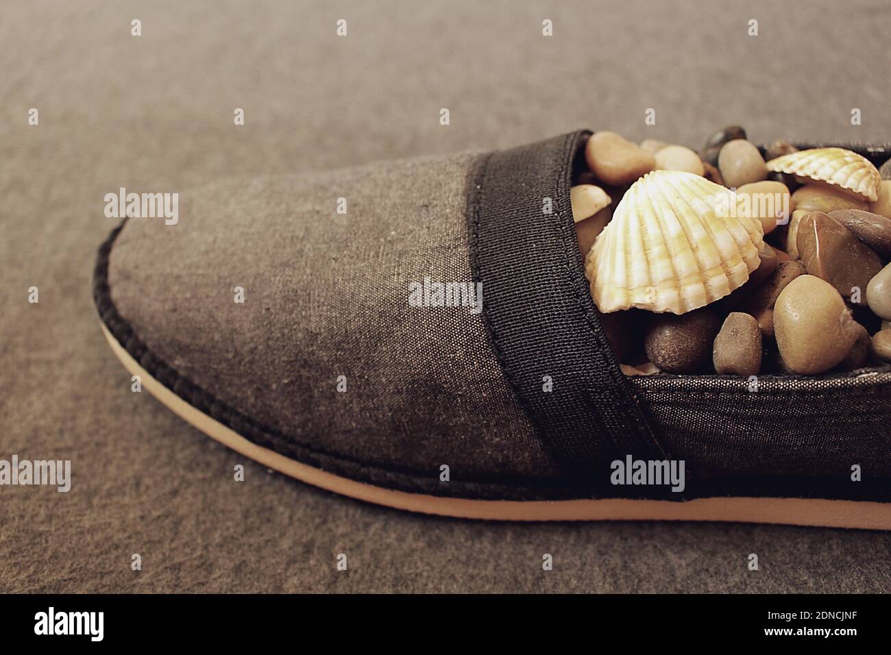 Shell bag hi-res stock photography and images - Alamy