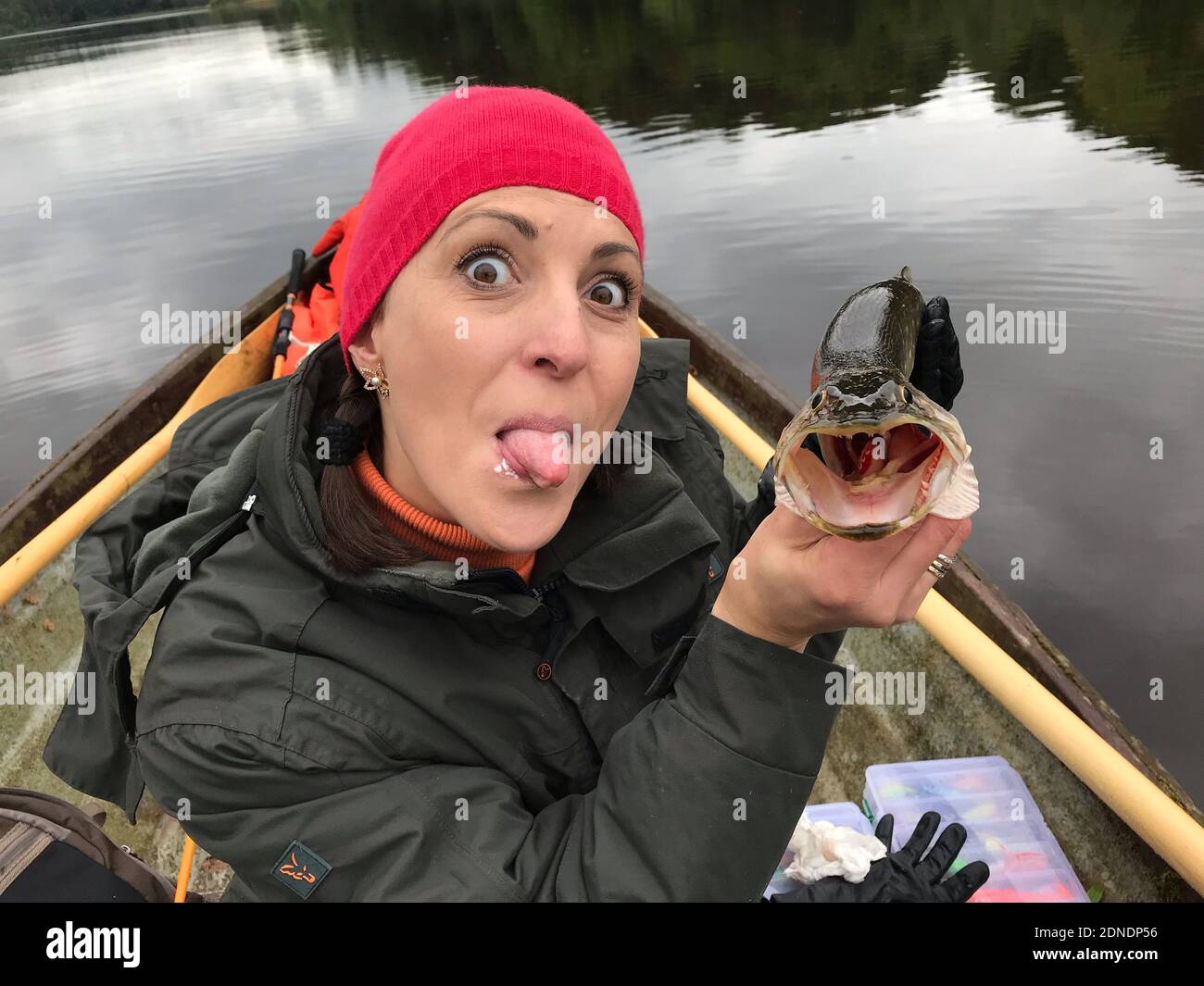 Fish Tongue Parasite Gif