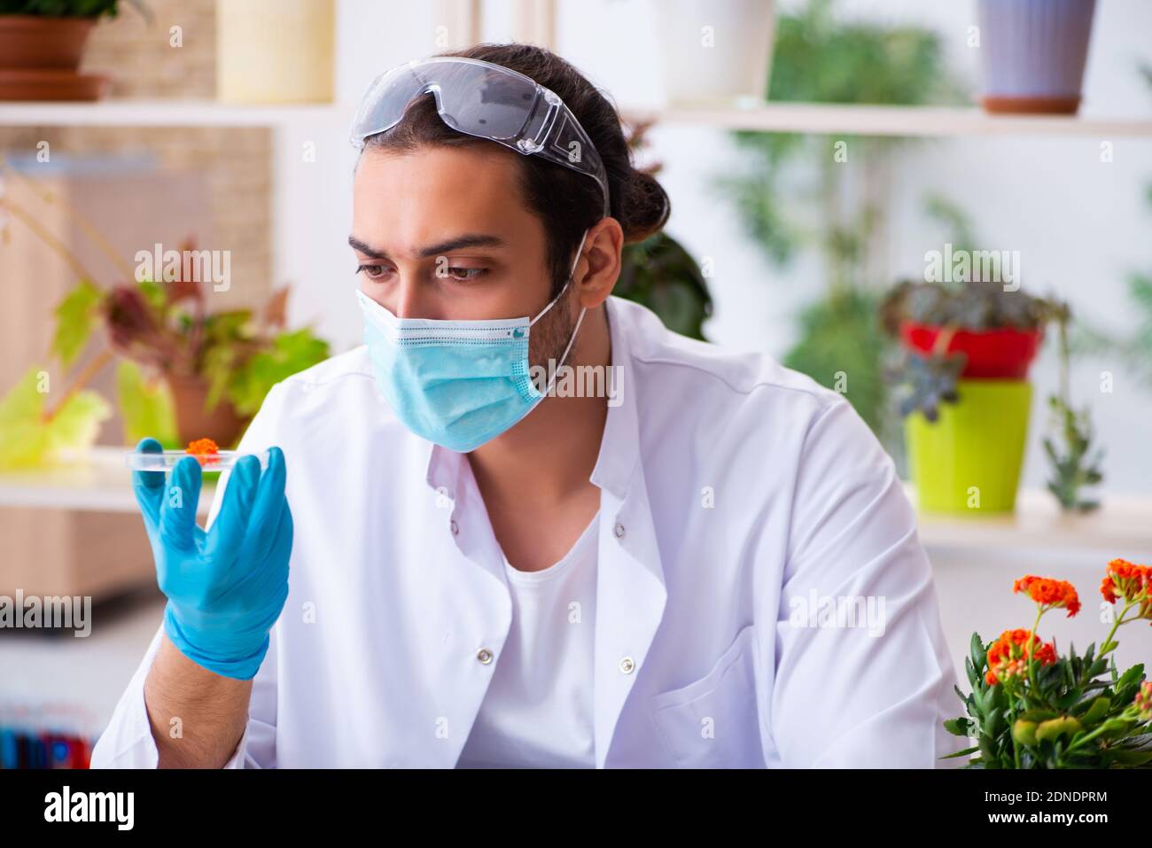 Young chemist perfumer working in the lab Stock Photo - Alamy
