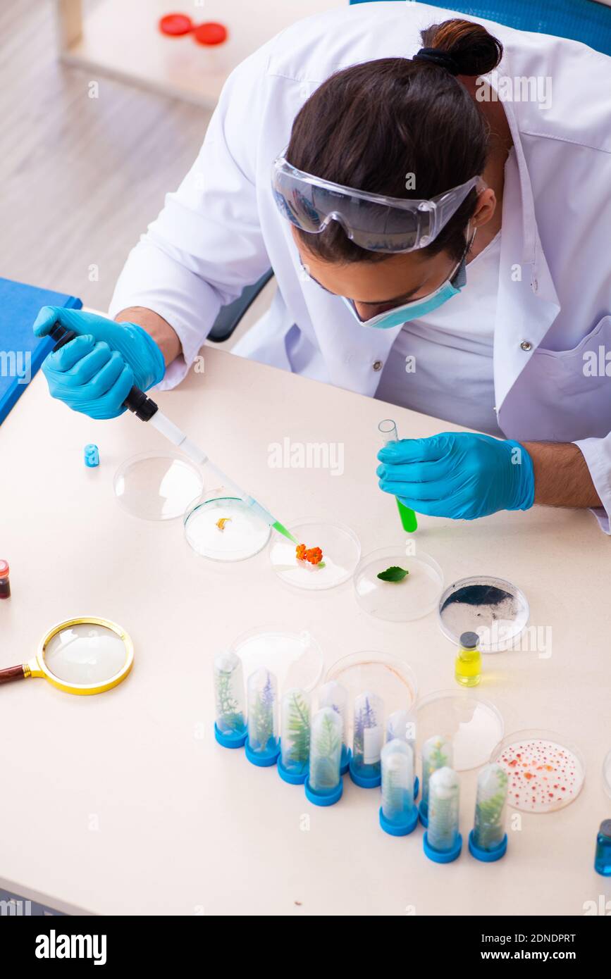 Perfumer laboratory hi-res stock photography and images - Alamy
