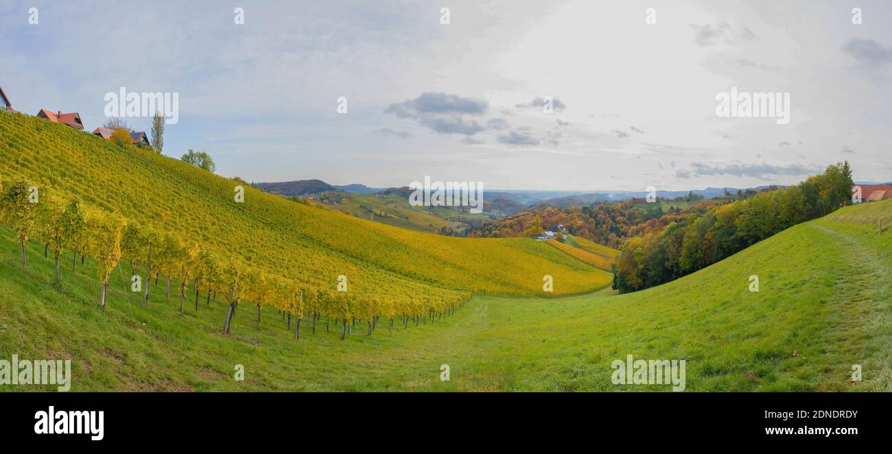 Autumn landscape with South Styria vineyards, known as Austrian Tuscany ...