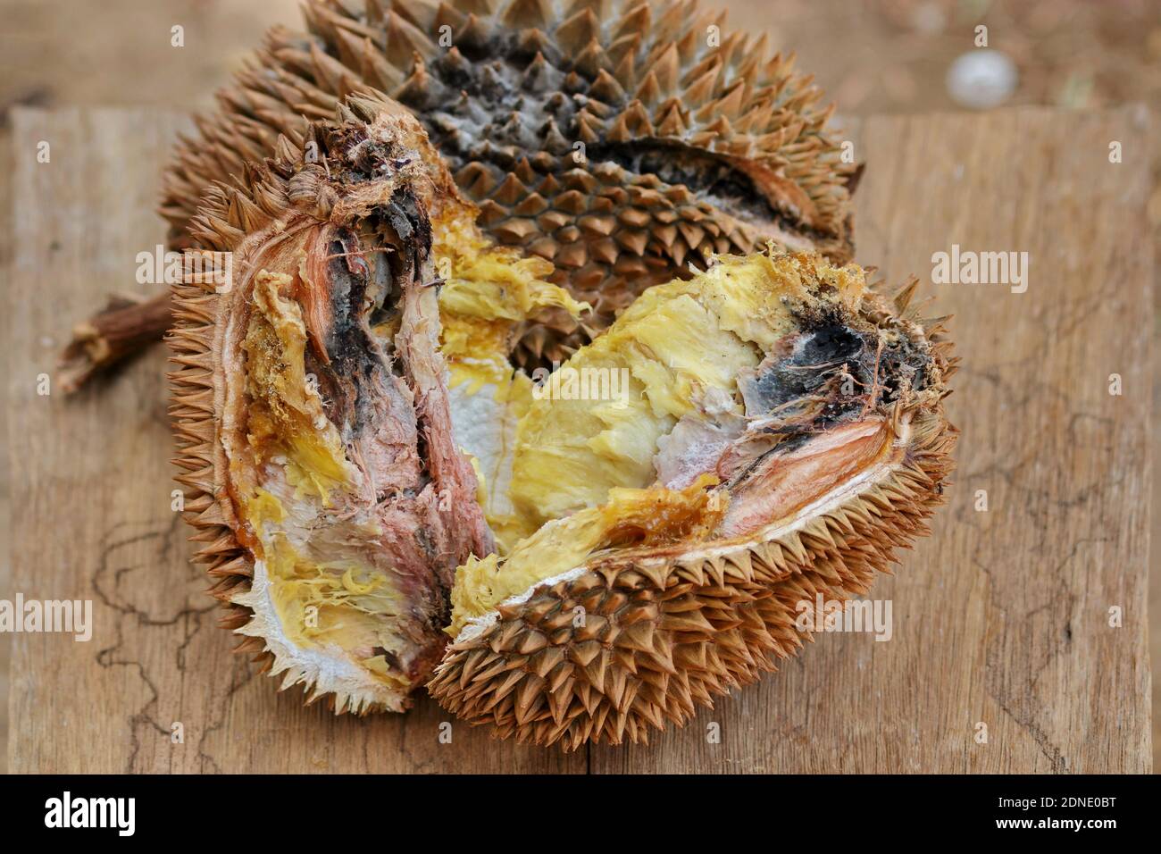Durian rotten hi-res stock photography and images - Alamy