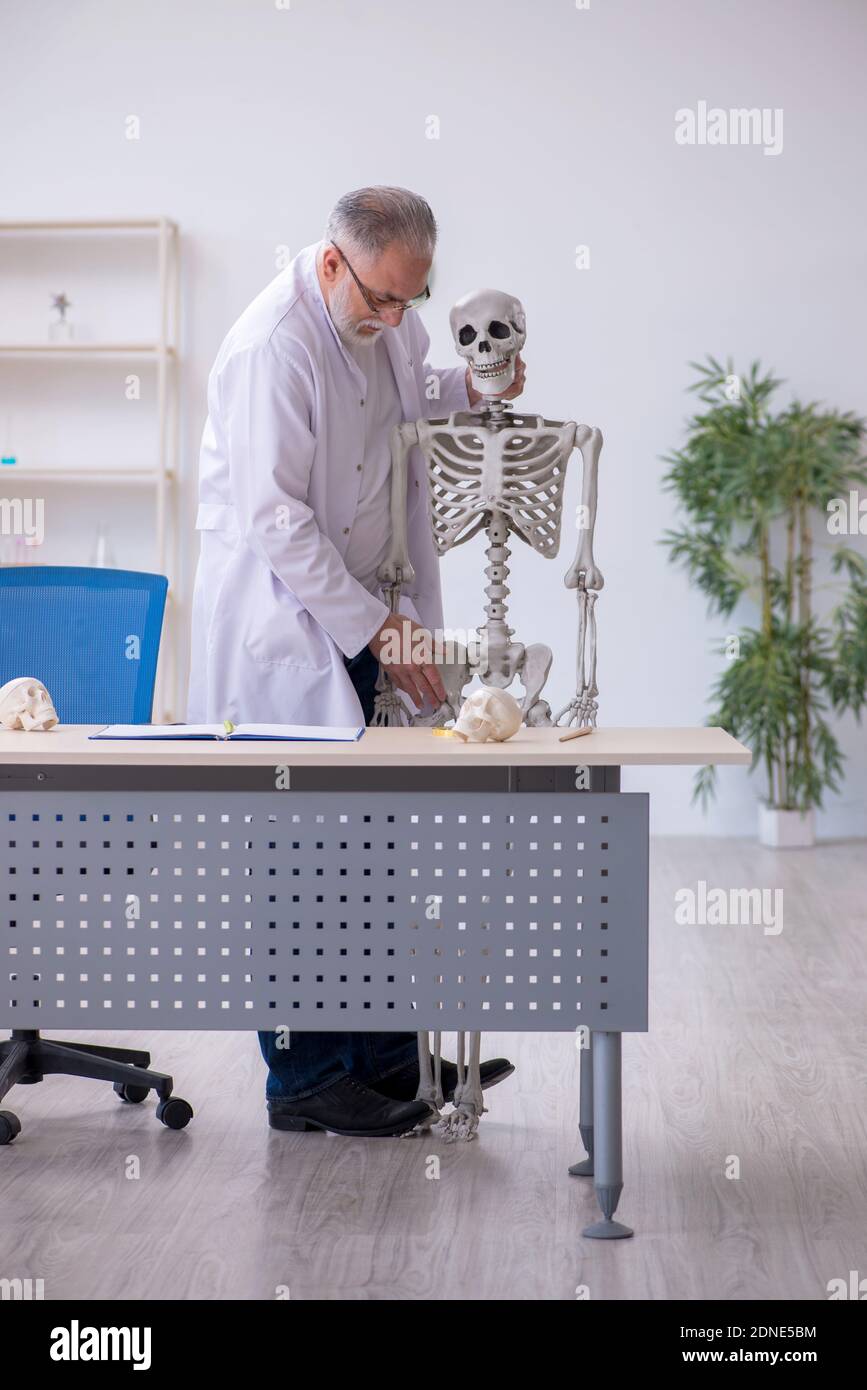 Old anatomy teacher demonstrating human skeleton Stock Photo - Alamy