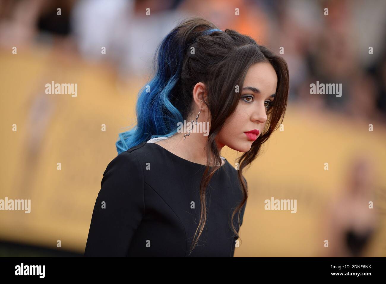 Lorelei Linklater attends the 21st Annual Screen Actors Guild Awards at ...