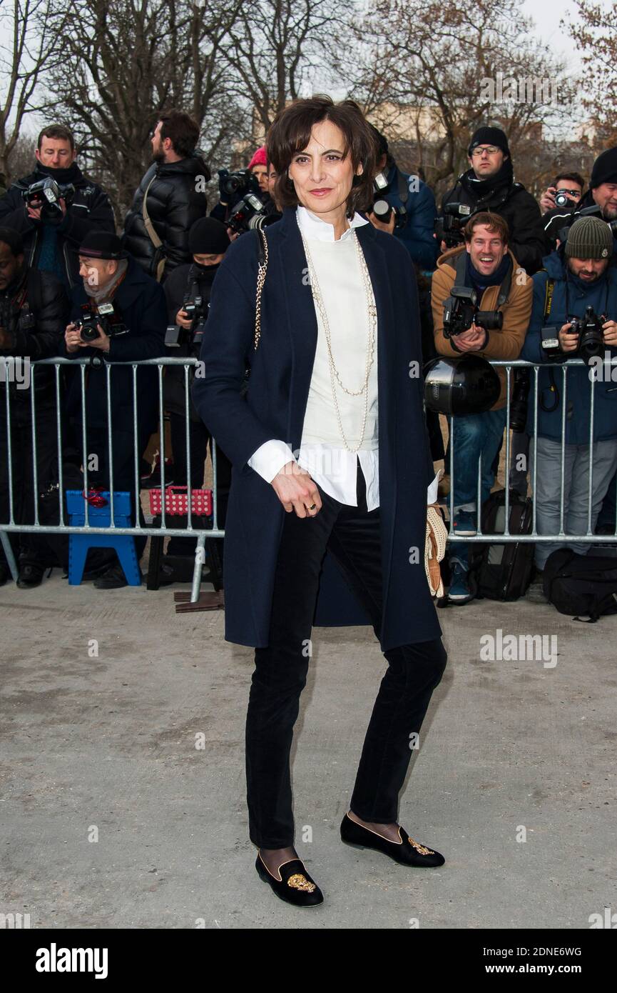 Ines de La Fressange arriving to the Chanel Spring-Summer 2015 Haute ...
