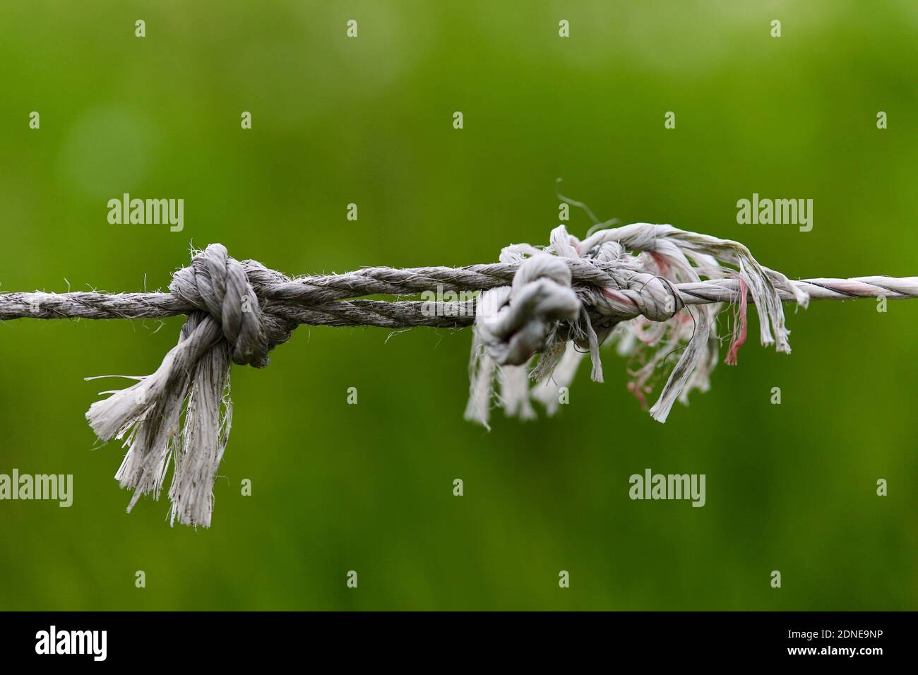 Tied to barbed wire fence hi-res stock photography and images - Alamy