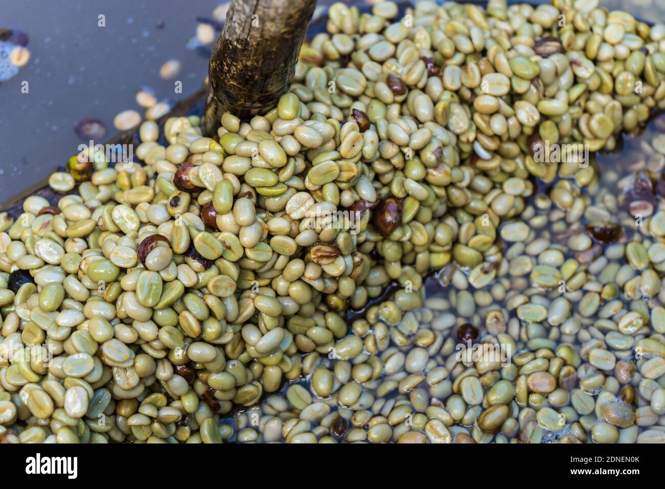 Wet method coffee hi-res stock photography and images - Alamy