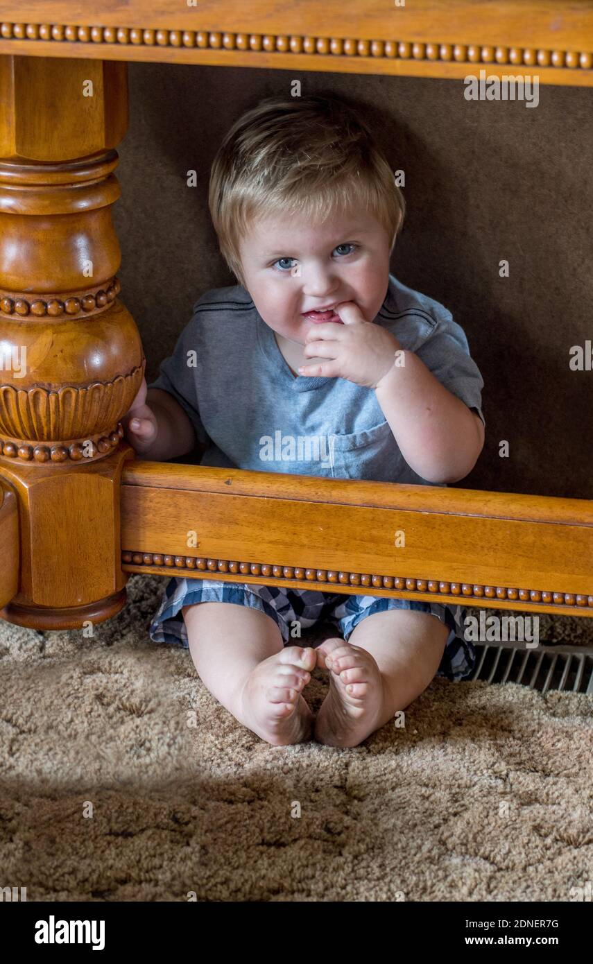 Baby looking under table hi-res stock photography and images - Alamy