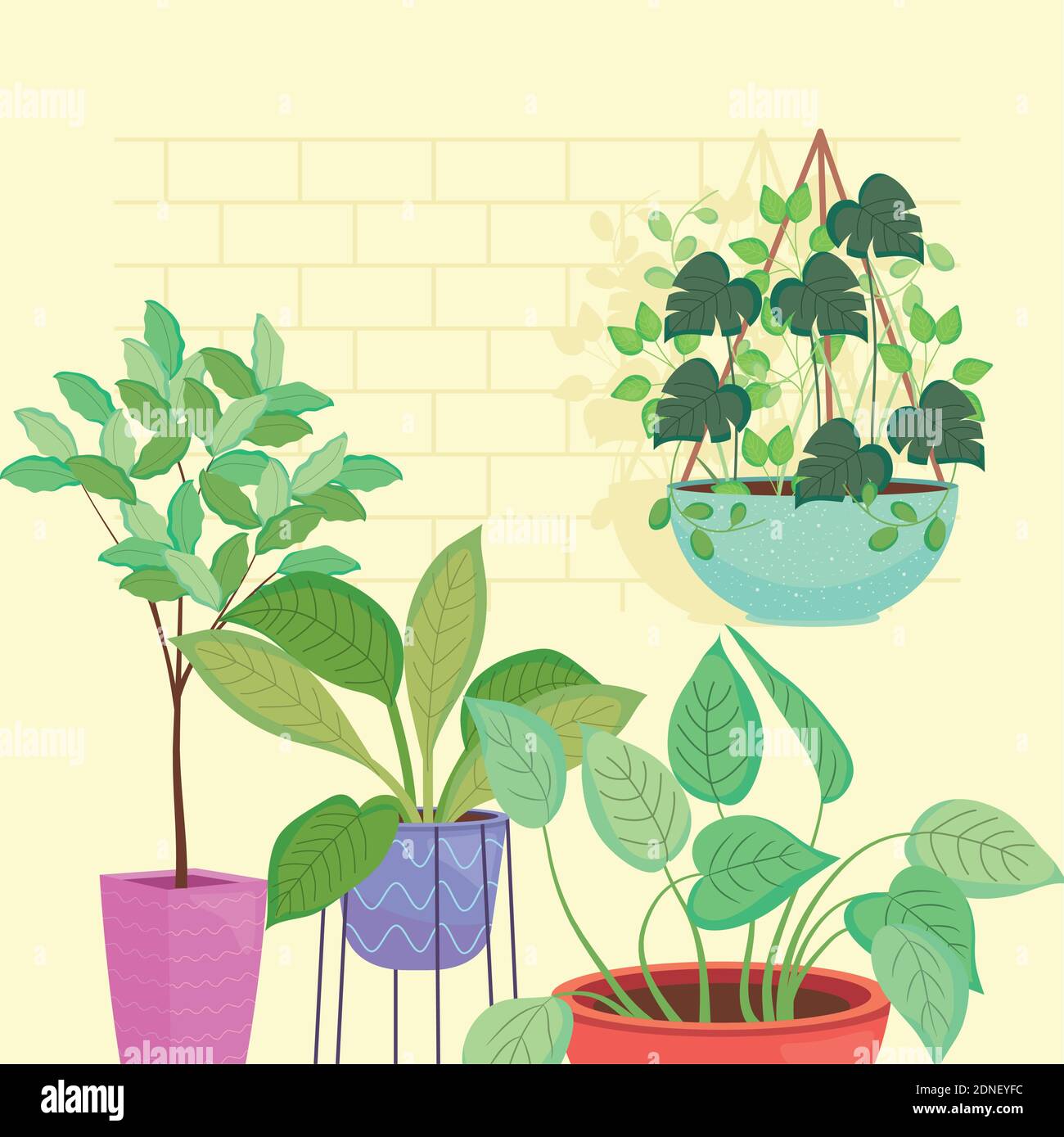 Plants inside pots collection design of Floral nature garden and ...