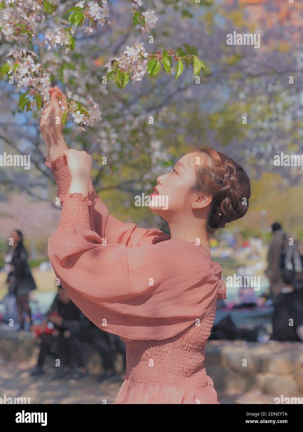 Asian woman plucking flower hi-res stock photography and images - Alamy